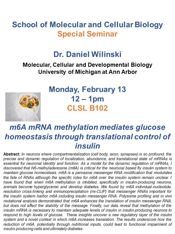 UIUC Biophysics and Related Seminars